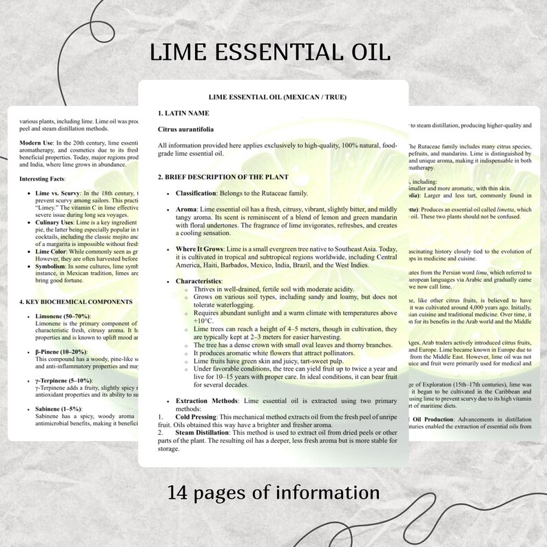 Lime Essential Oil | Complete Guide to Lime Essential Oil | Properties ...