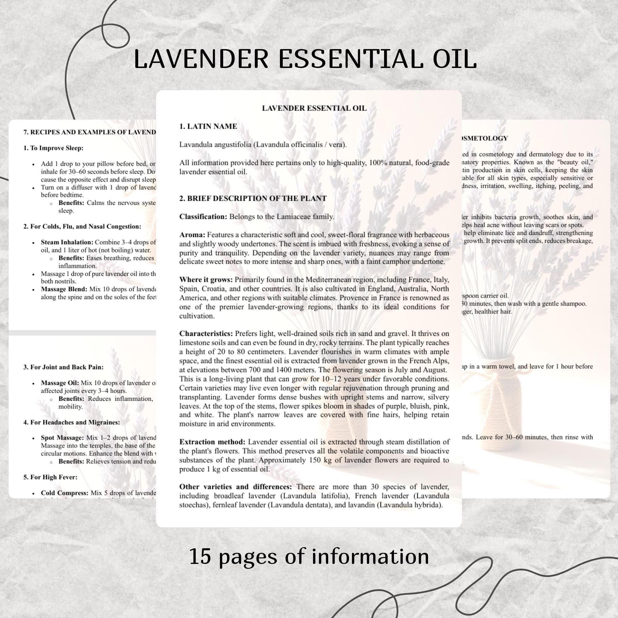 Lavender Essential Oil | Complete Guide to Lavender Essential Oil ...