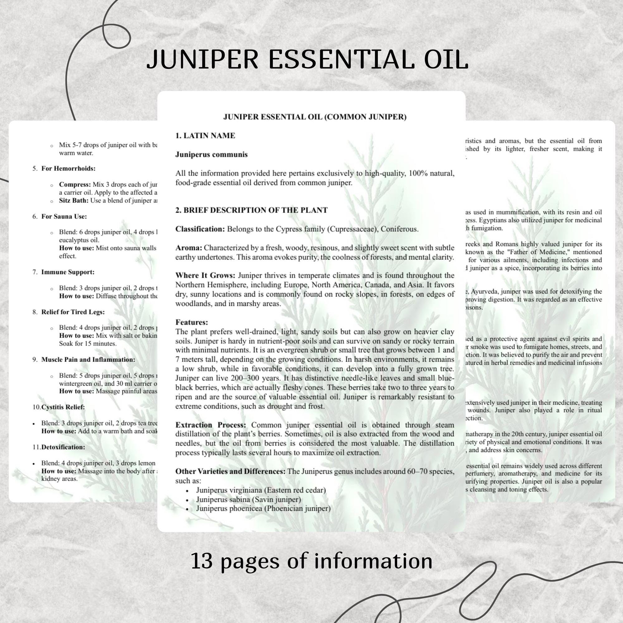 Juniper Essential Oil | Complete Guide to Juniper Essential Oil ...