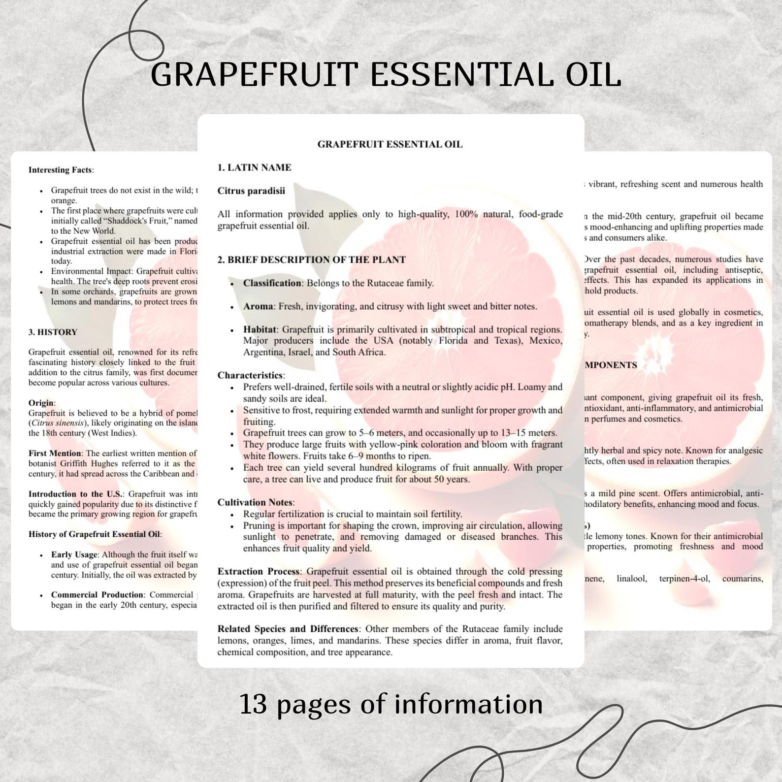Grapefruit Essential Oil | Complete Guide to Grapefruit Essential Oil, Properties, Aromatherapy ...