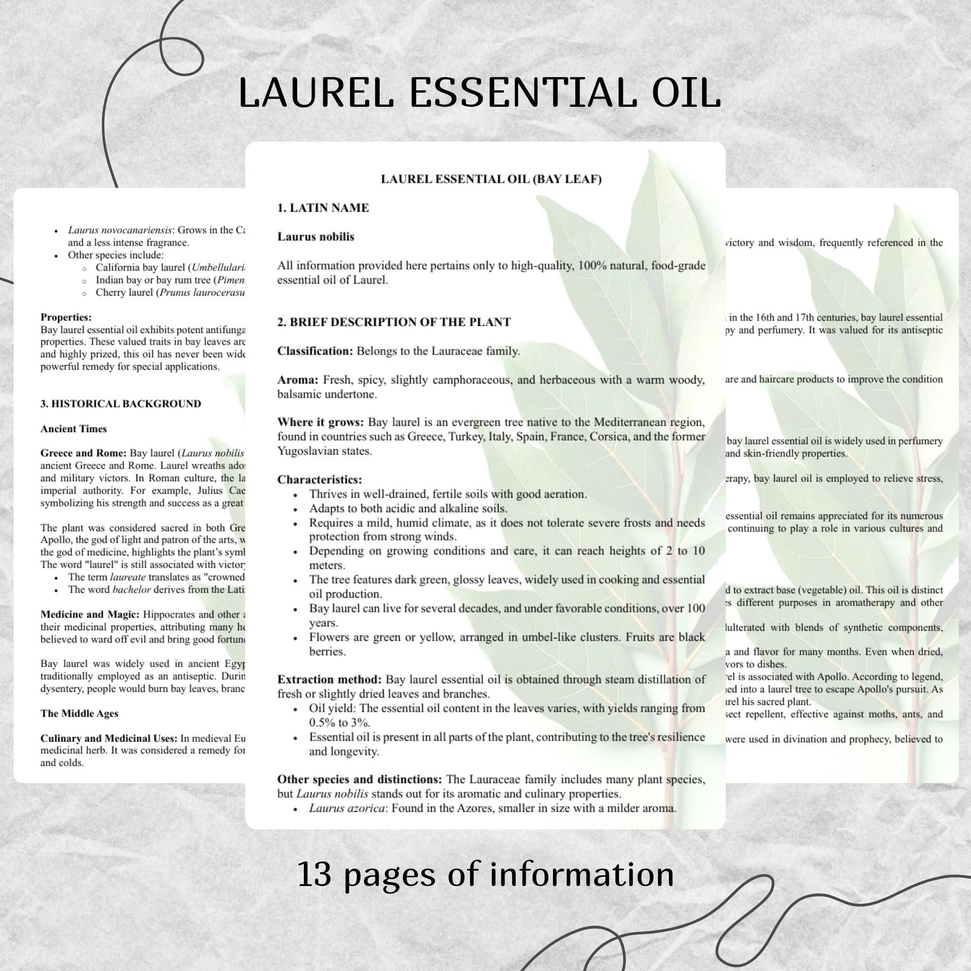 Laurel Essential Oil | Complete Guide to Bay Laurel Essential Oil ...