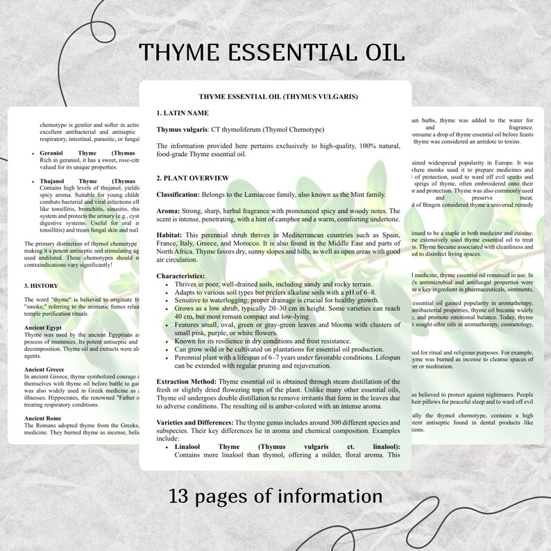 Thyme Essential Oil | Complete Guide to Thyme Essential Oil ...