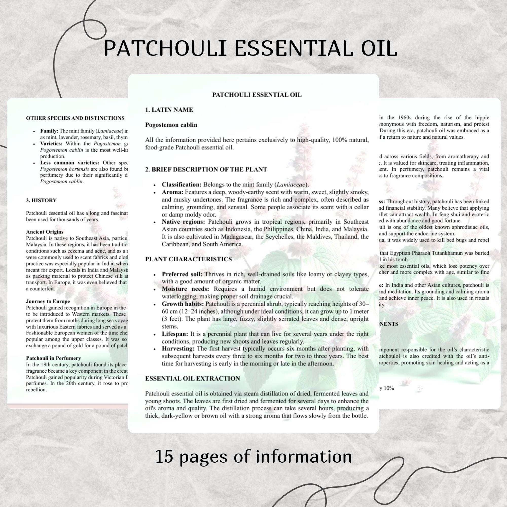 Patchouli Essential Oil | Complete Guide to Patchouli Essential Oil ...