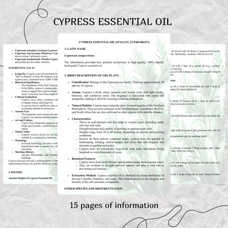 Cypress Essential Oil | Complete Guide to Cypress Essential Oil ...