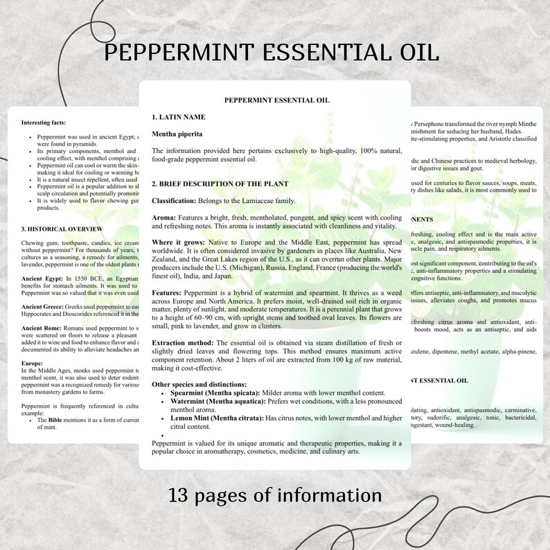 Peppermint Essential Oil | Complete Guide to Peppermint Essential Oil, Properties | Aromatherapy ...
