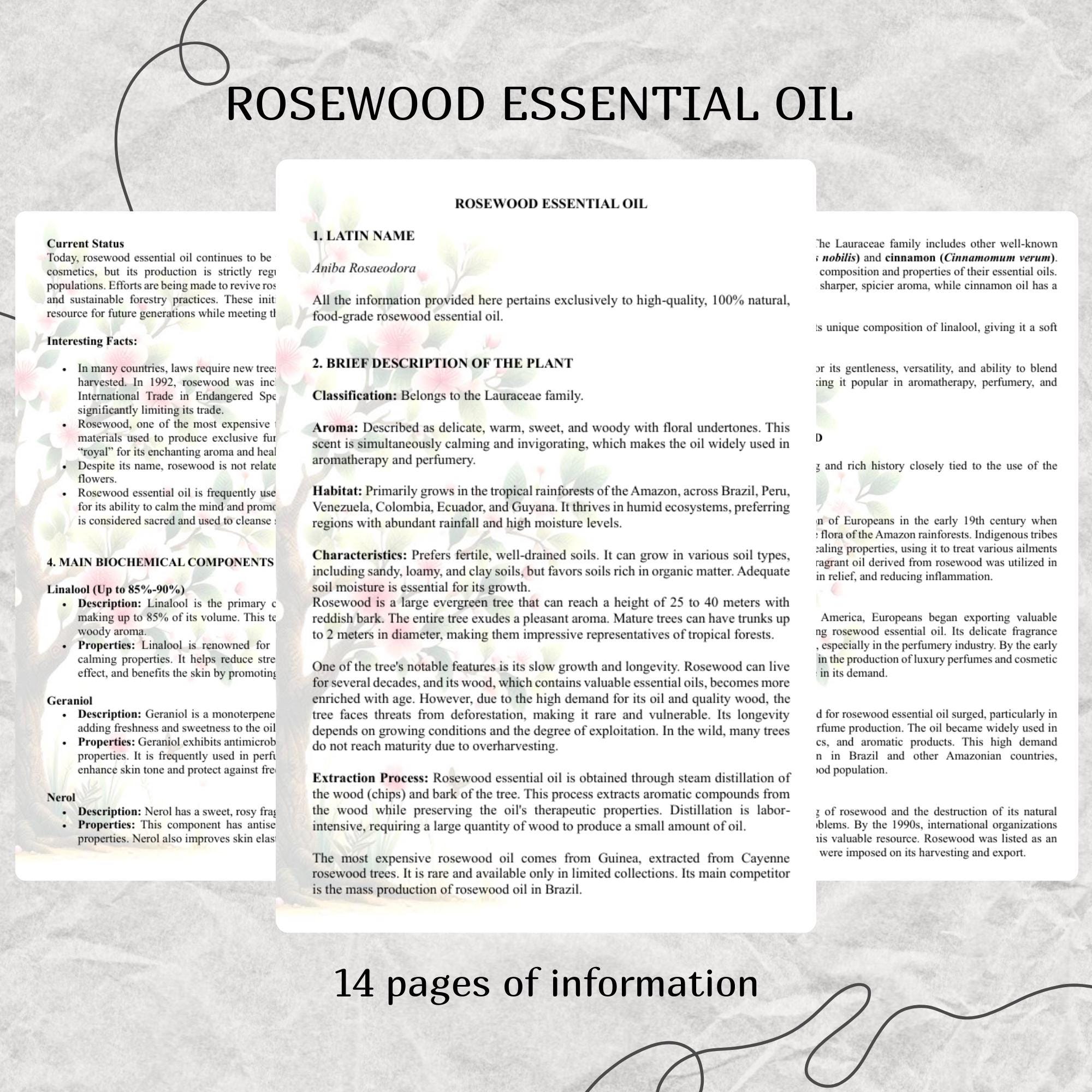 Rosewood Essential Oil | Complete Guide to Rosewood Essential Oil ...