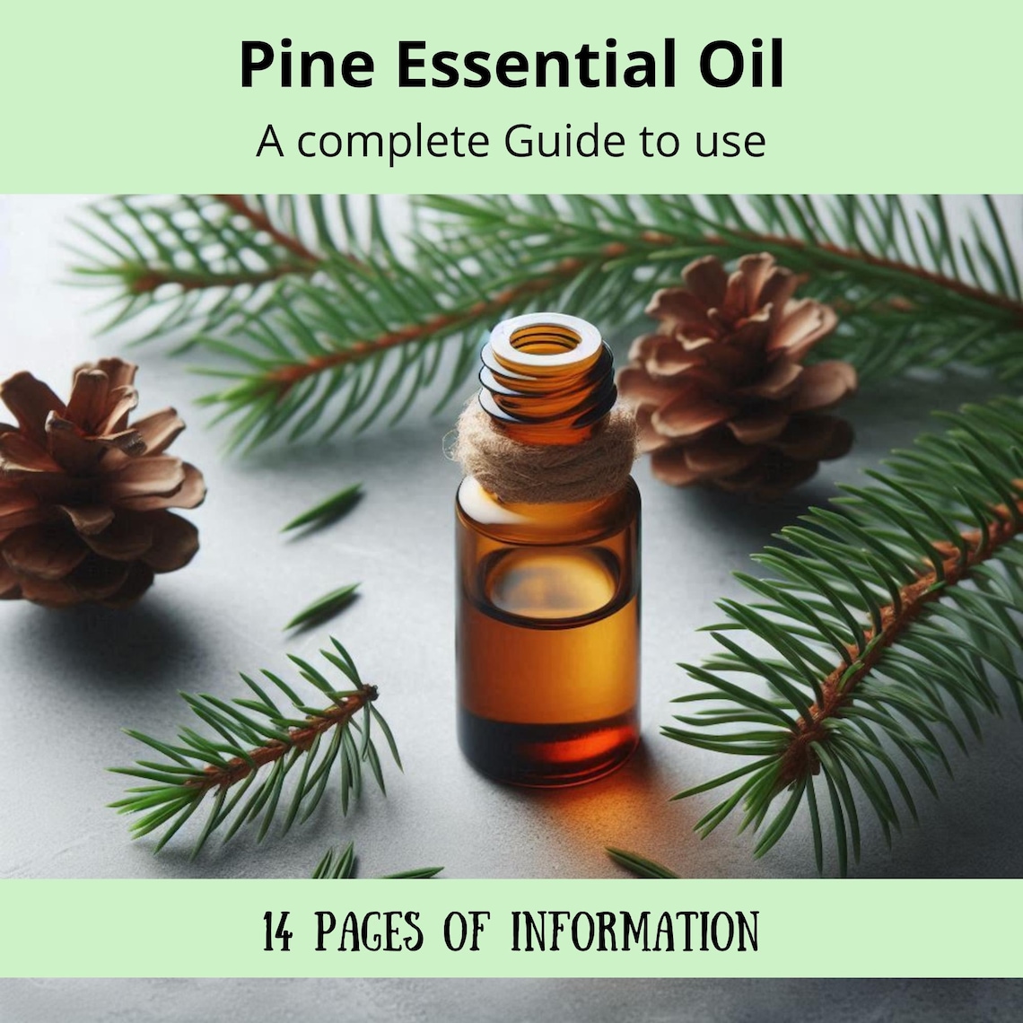 Pine Essential Oil | Complete Guide to Scots Pine Essential Oil ...