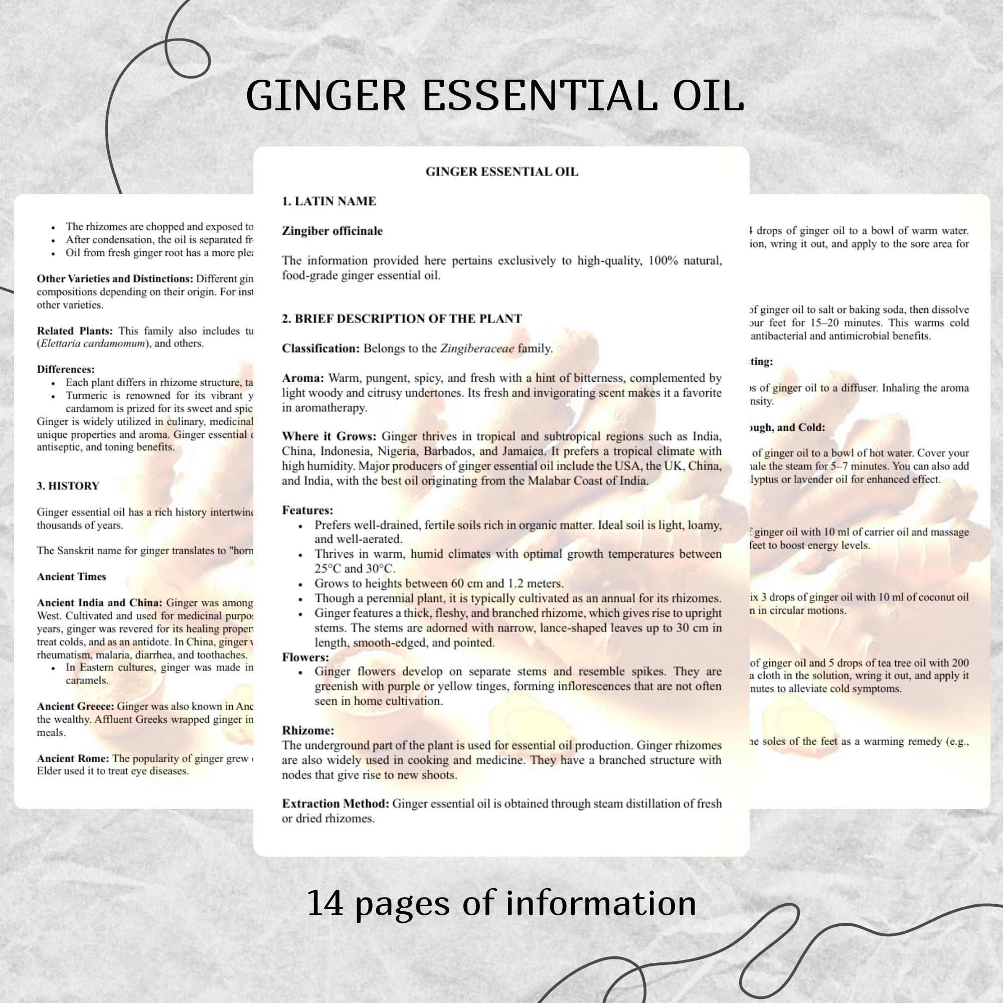 Ginger Essential Oil | Complete Guide to Ginger Essential Oil ...
