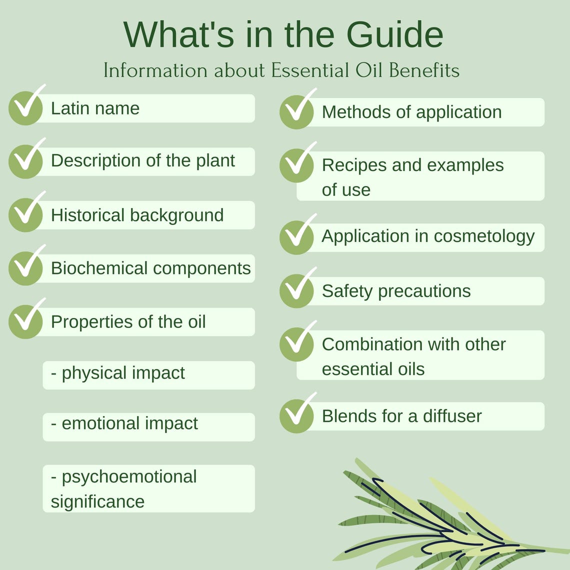 Helichrysum Essential Oil | Complete Guide to Essential Oil ...