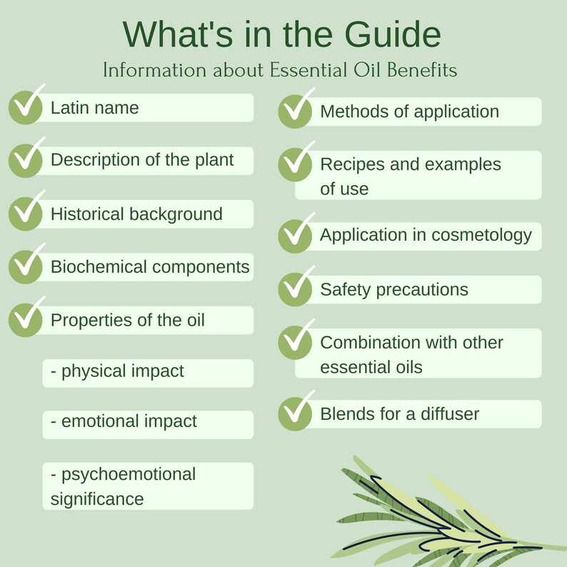 Helichrysum Essential Oil | Complete Guide to Essential Oil ...