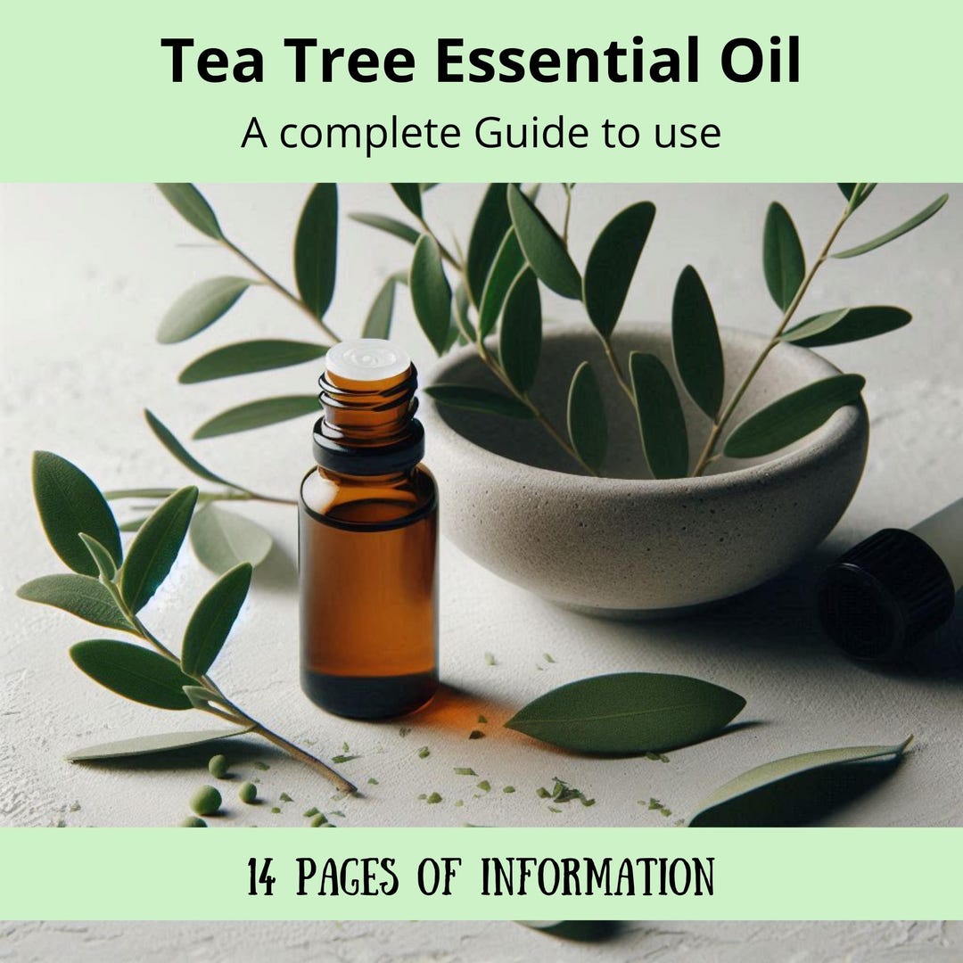 Tea Tree Essential Oil | Complete Guide to Tea Tree Essential Oil ...