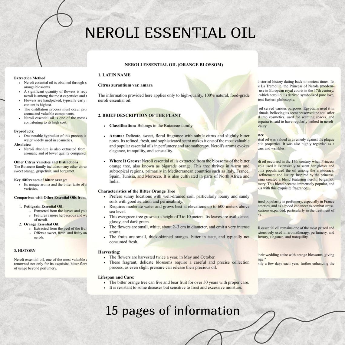 Neroli Essential Oil | Complete Guide to Neroli Essential Oil ...