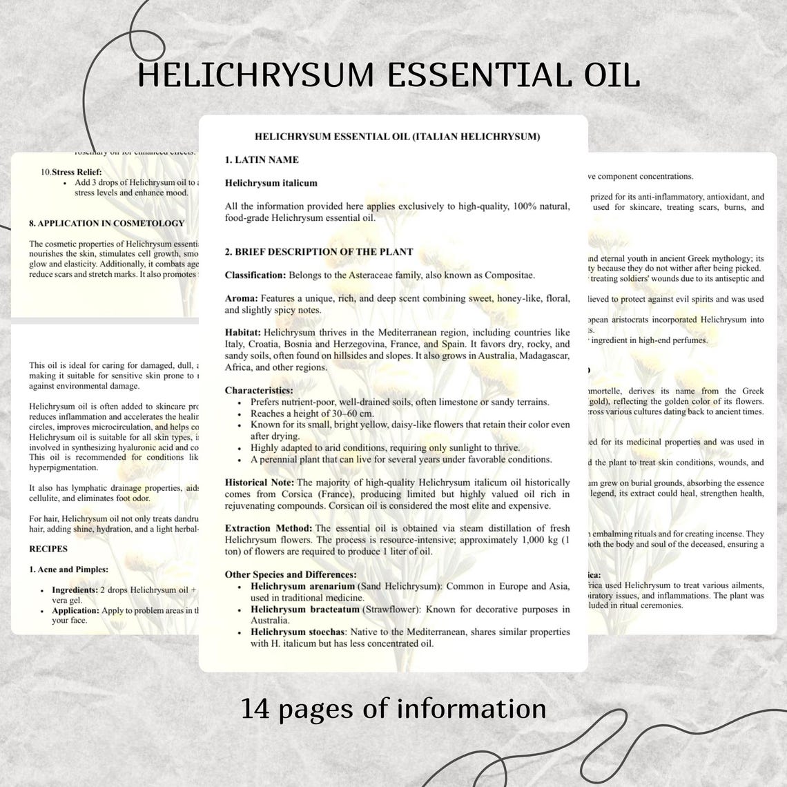 Helichrysum Essential Oil | Complete Guide to Essential Oil ...