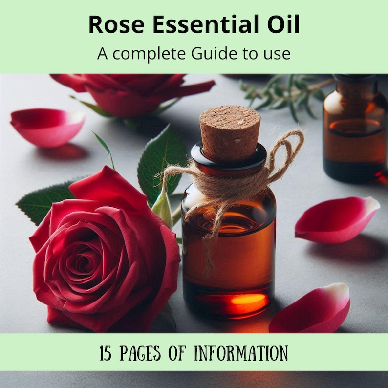 Rose Essential Oil | Complete Guide to Damask Rose Essential Oil ...
