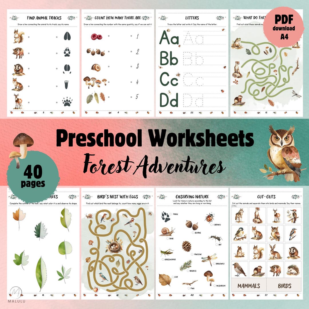 Worksheet Preschool Forest Animal Educational Activity Book Wild Animal ...