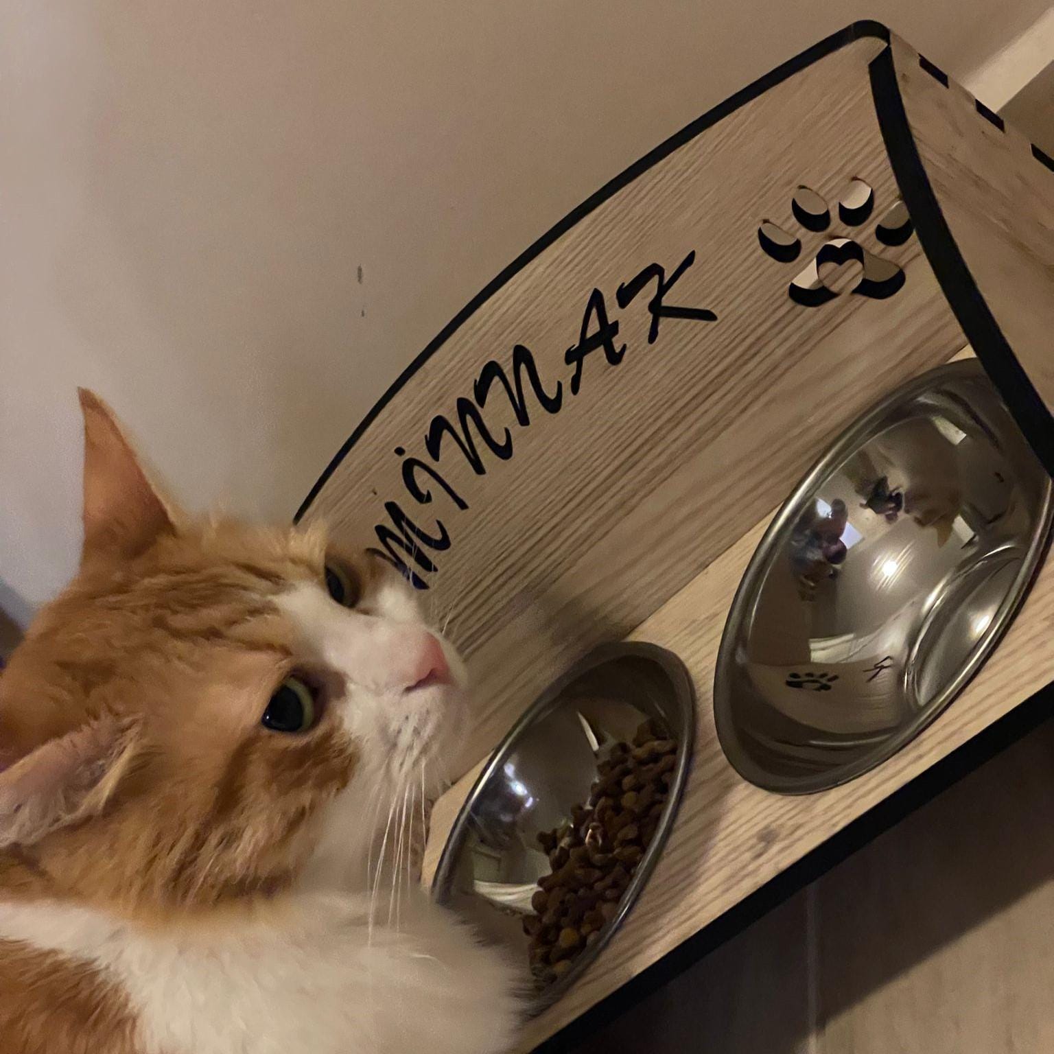 Personalized Wooden Cat Feeding Stand - Etsy