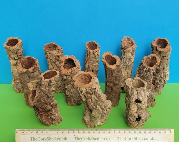 500grams of Small Cork Bark Tubes - Etsy UK