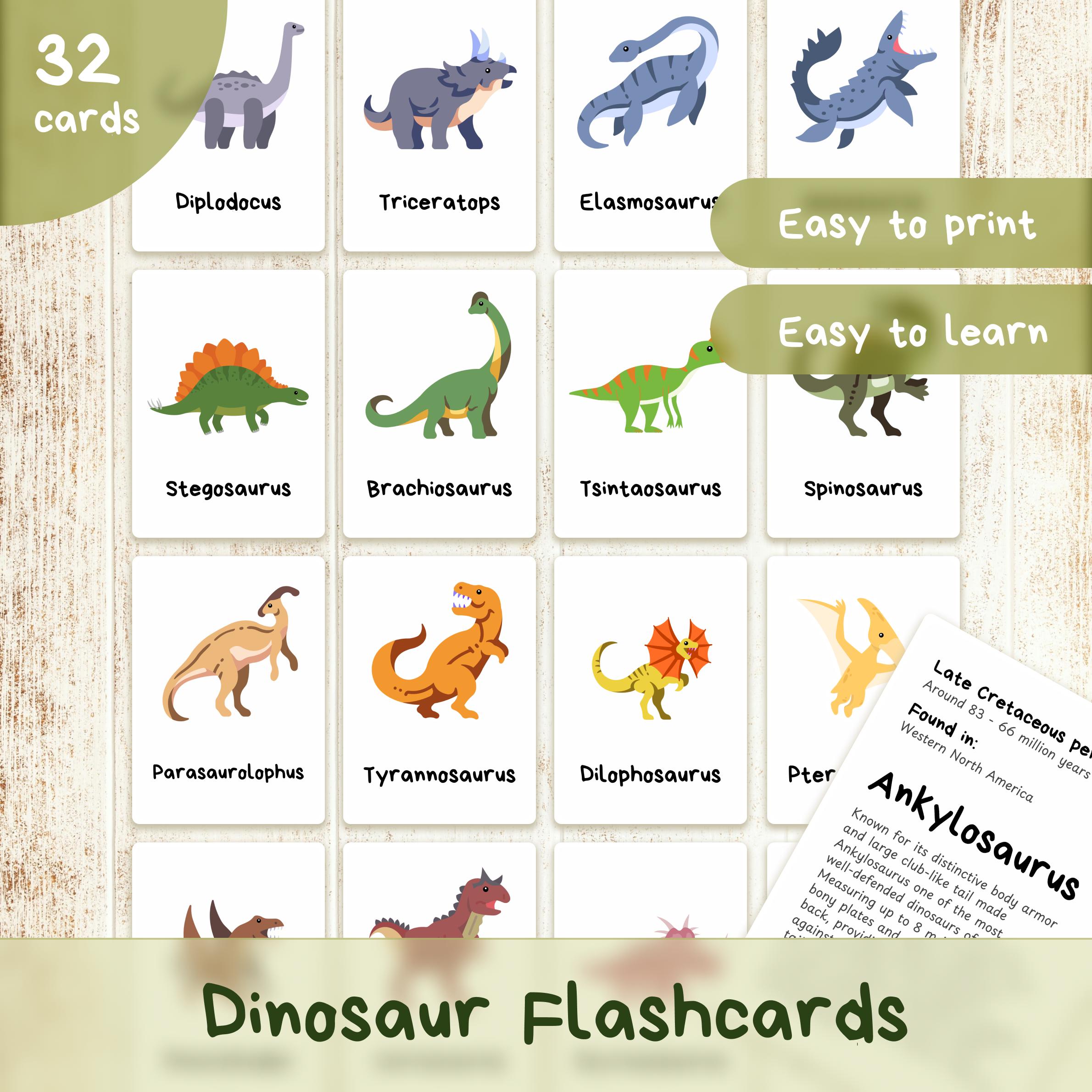 DINOSAUR Flash Cards • 32 Dinosaur Cards • Printable PDF Cards ...