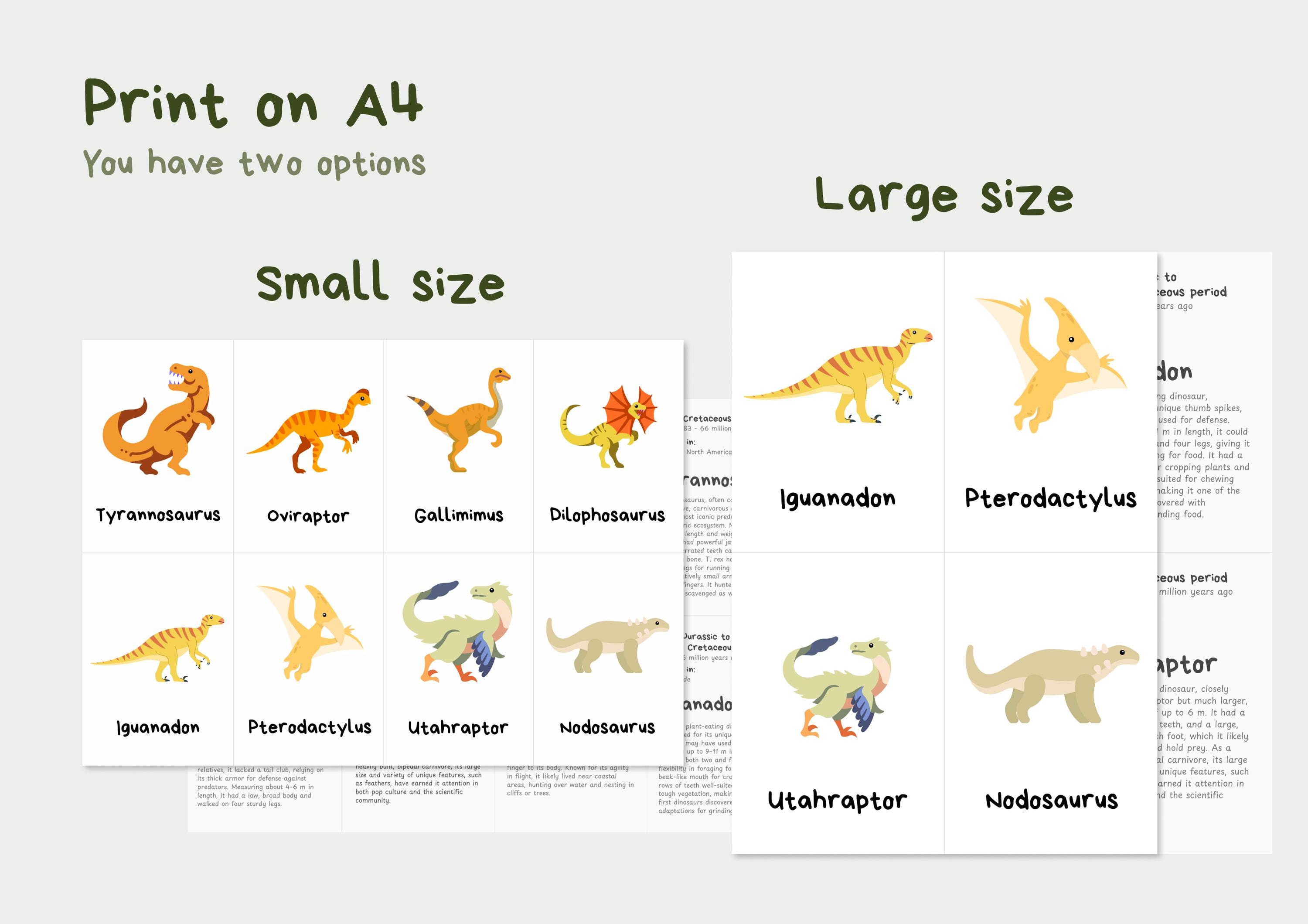 DINOSAUR Flash Cards • 32 Dinosaur Cards • Printable PDF Cards ...