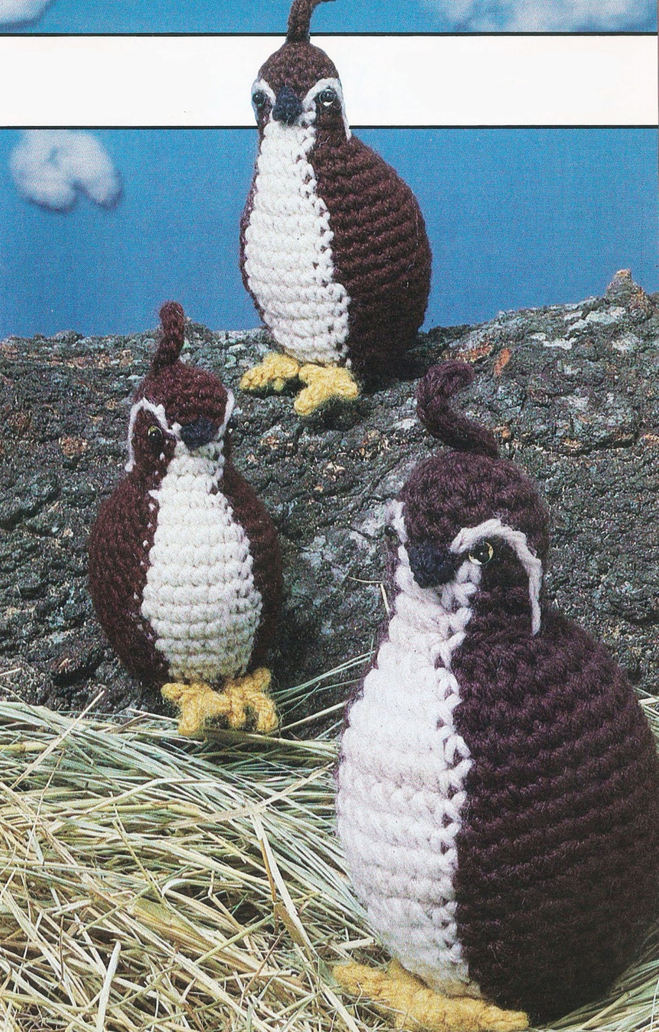 Quail Hen and Chicks Vintage Crochet Pattern - Etsy