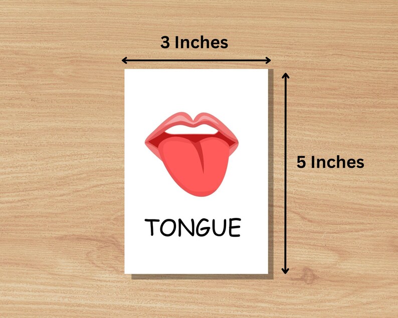 28 Body Parts Flashcards, Pre-school Cards Learning, Montessori ...