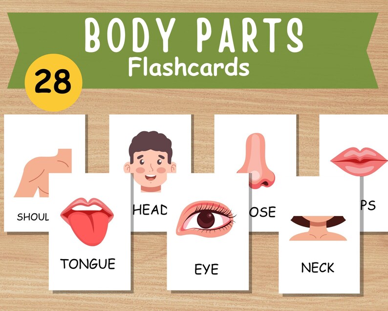 28 Body Parts Flashcards, Pre-school Cards Learning, Montessori ...