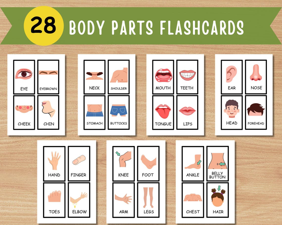 28 Body Parts Flashcards, Pre-school Cards Learning, Montessori ...