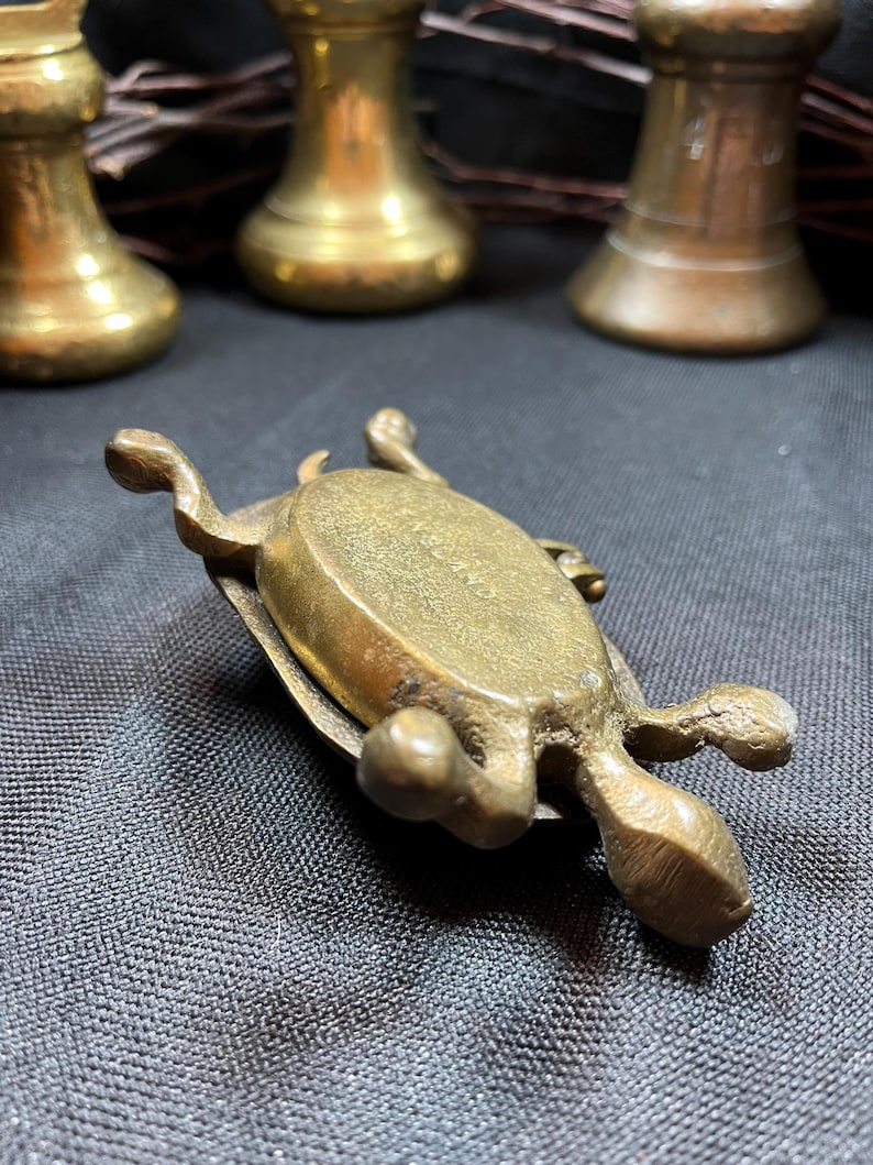 Vintage Brass Tortoise Vesta Case Circa 1950 With Hinged Lid, Good Luck ...