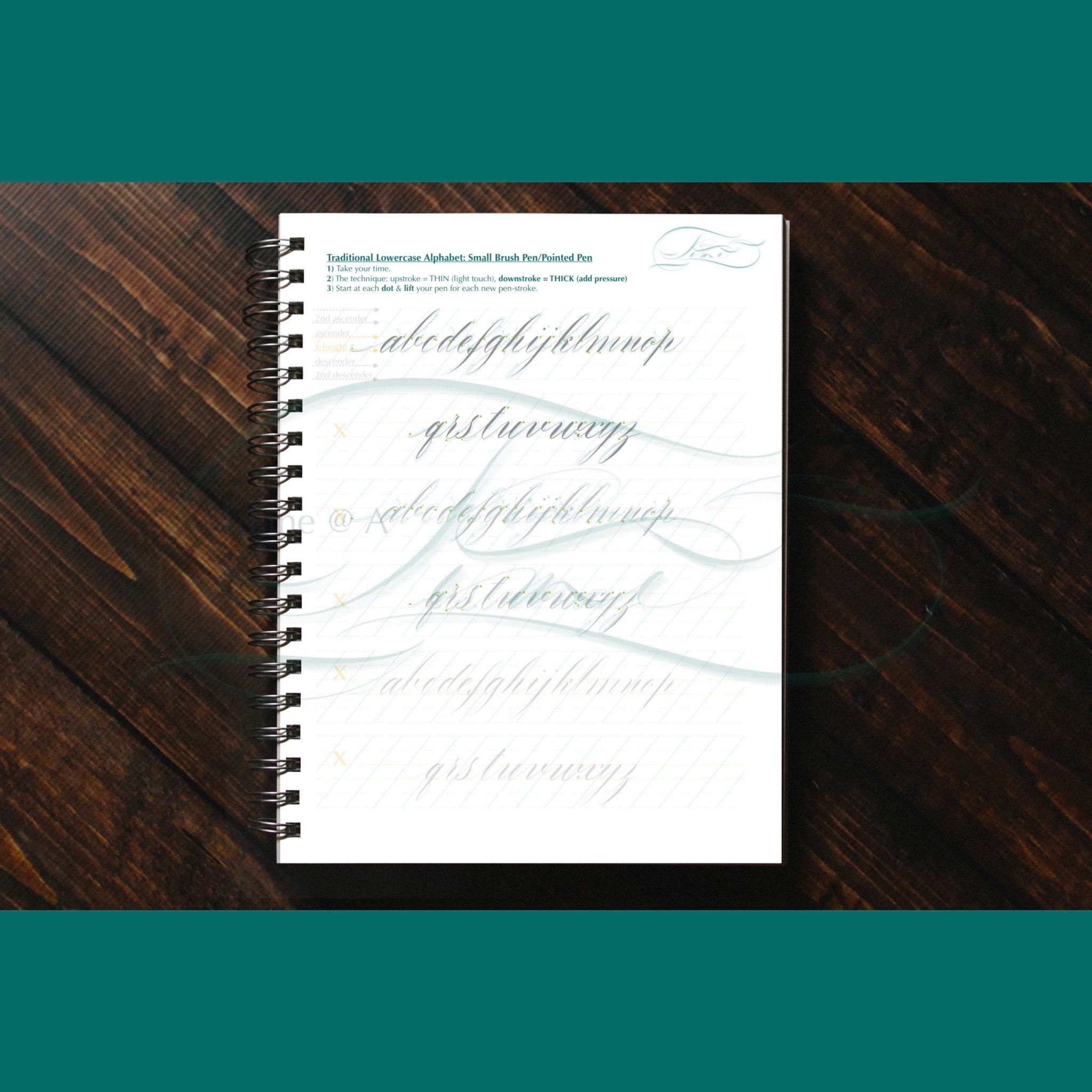 Introduction to Calligraphy, A Beginner's Guide & Workbook, Printable ...