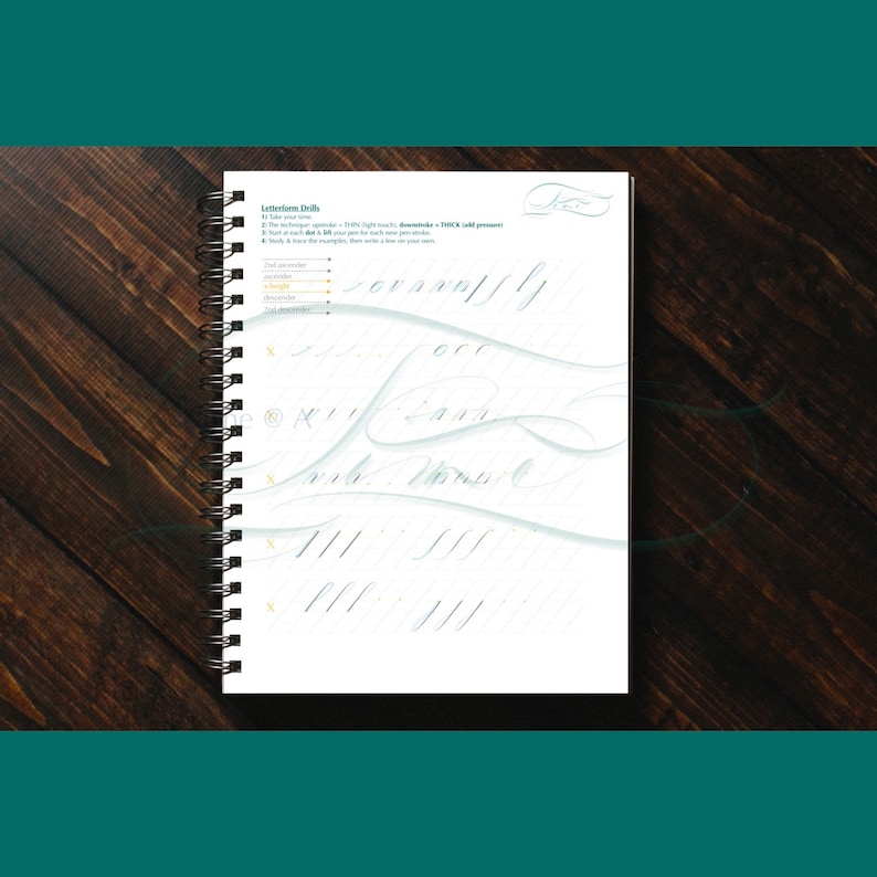 Introduction to Calligraphy, A Beginner's Guide & Workbook, Printable ...