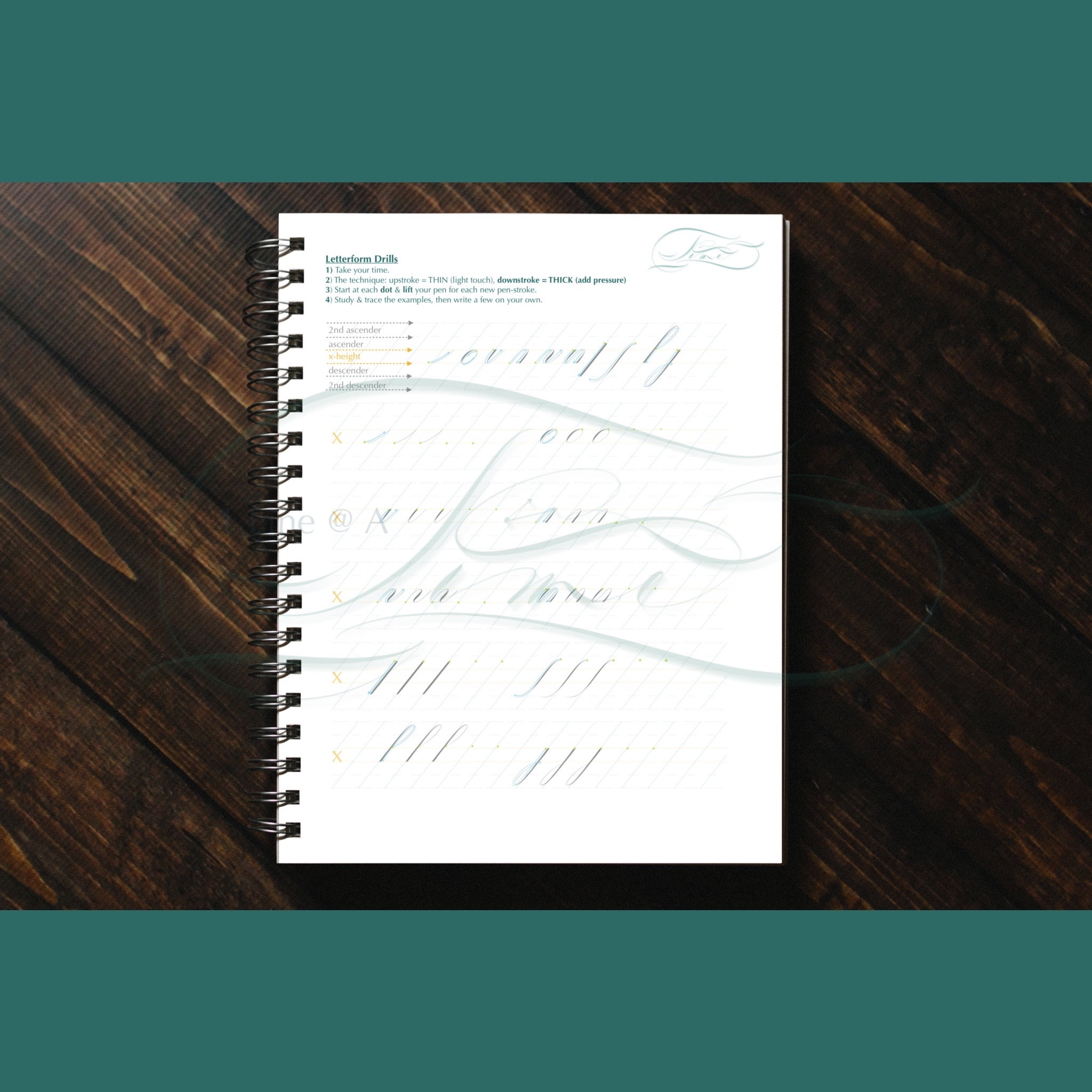 Introduction to Calligraphy, A Beginner's Guide & Workbook, Printable ...