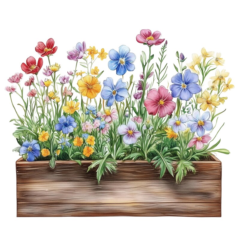 5 Wildflower Wooden Box PNG Clipart Bundle Digital Download - Etsy