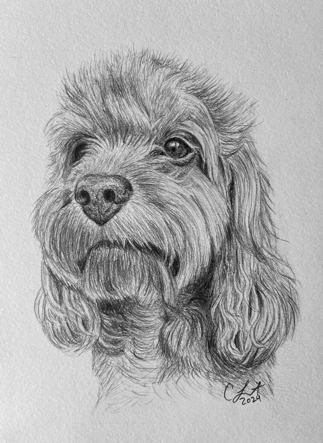 Custom Dog Portrait Drawing - Etsy