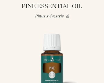 Pine Essential Oil | Complete Guide to Scots Pine Essential Oil | Properties | Aromatherapy ...