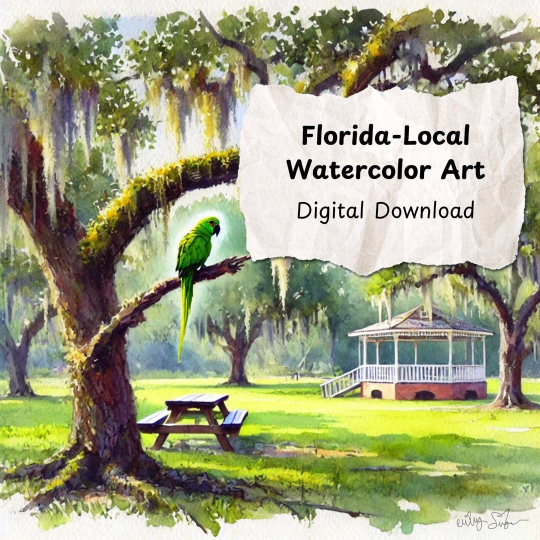 Watercolor Spanish Moss Parrot at Park in Florida, Southern, Vintage ...