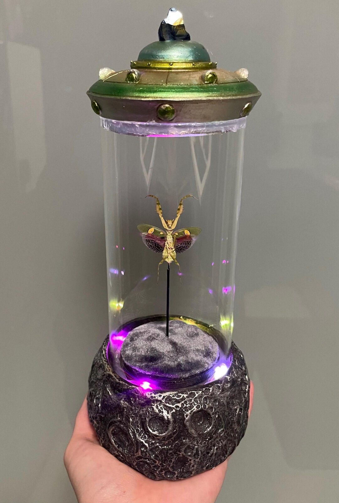 Ufo Alien Jar With Real Jeweled Flower Praying Mantis and Light up Base ...