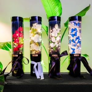 Personalized LED Rose Box | Illuminated Decorative Gift With Custom ...