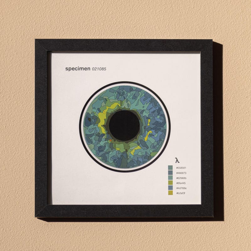 Eye Chart Custom - Etsy