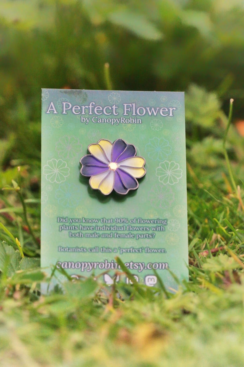 Perfect Flower Enamel Pin Badge for Bi, Pan, Non-binary, Trans, and ...