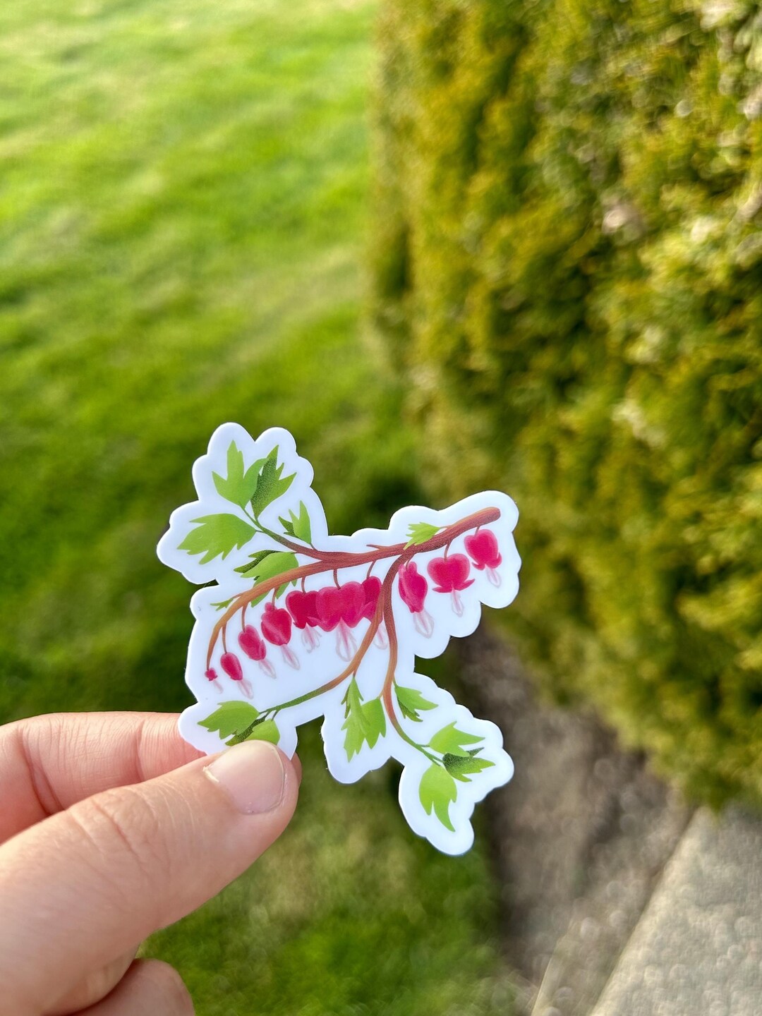 Bleeding Heart Plant Sticker: Garden Vinyl Decal, Nature Lover Gift - Etsy