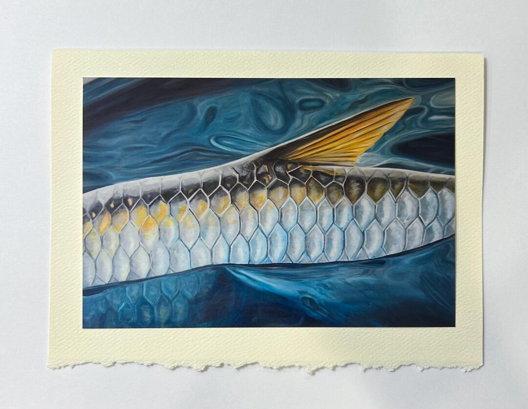 Tarpon Scales Greeting Card - Etsy