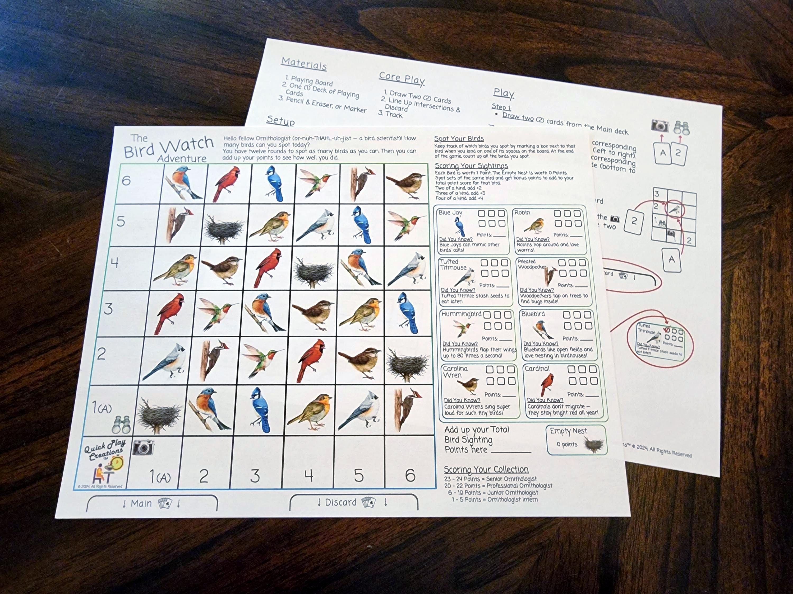 Bird Watch Printable Game: STEM Homeschool Activity (ages 6-10) - Etsy
