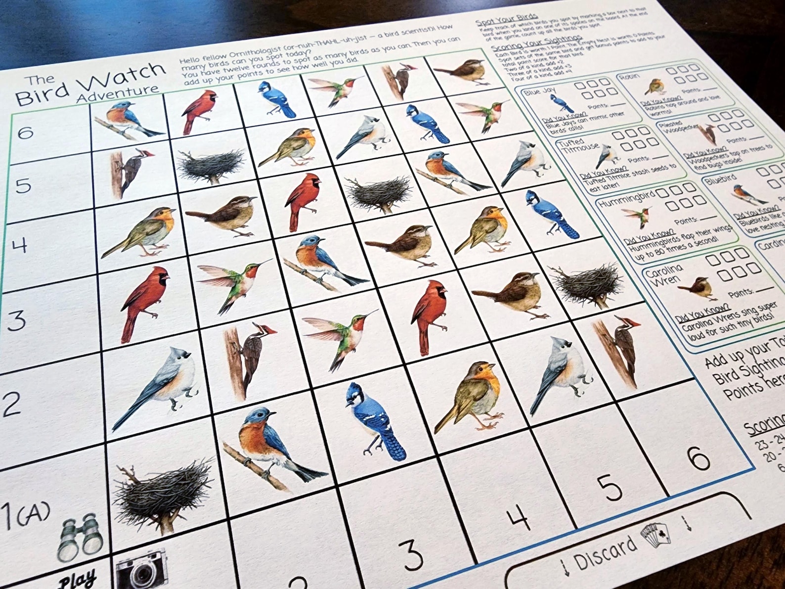 Bird Watch Printable Game: STEM Homeschool Activity (ages 6-10) - Etsy