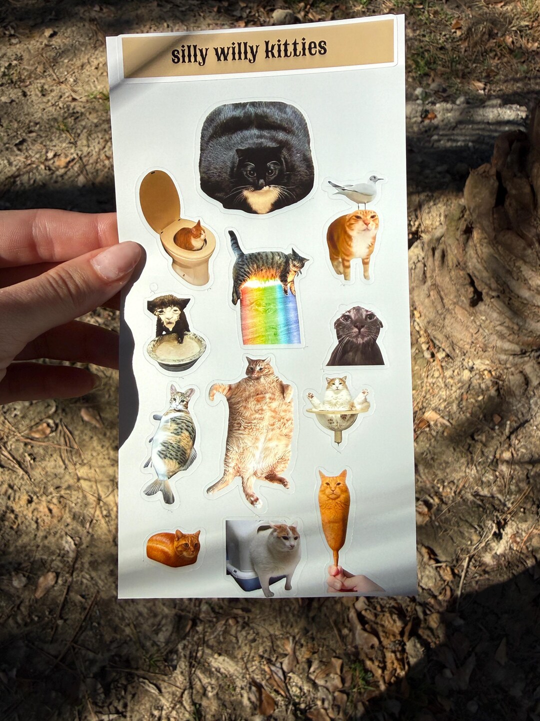 Silly Kitty Sticker Sheet, 12 Stickers Sticker Pack - Etsy