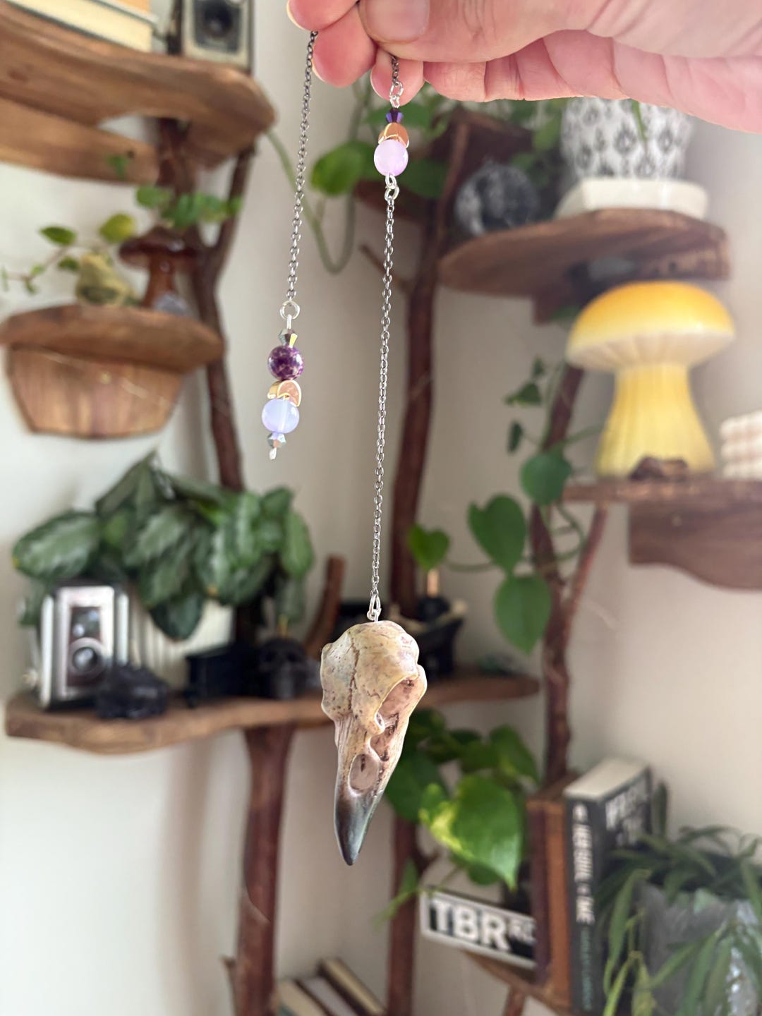 Bird Skull Tarot Pendulum | Tarot Deck Reading | Witch Altar Spell ...