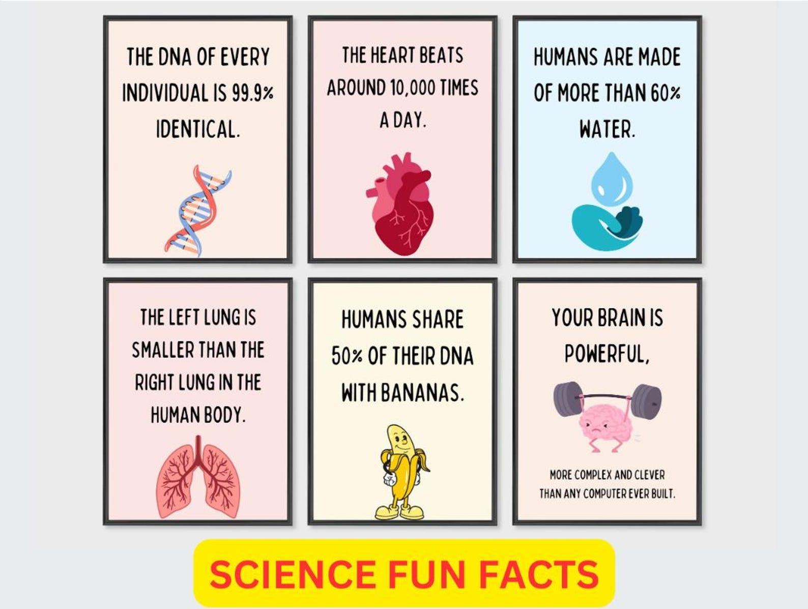 30 Science Posters, Classroom Decor Bundle, Educational Posters ...