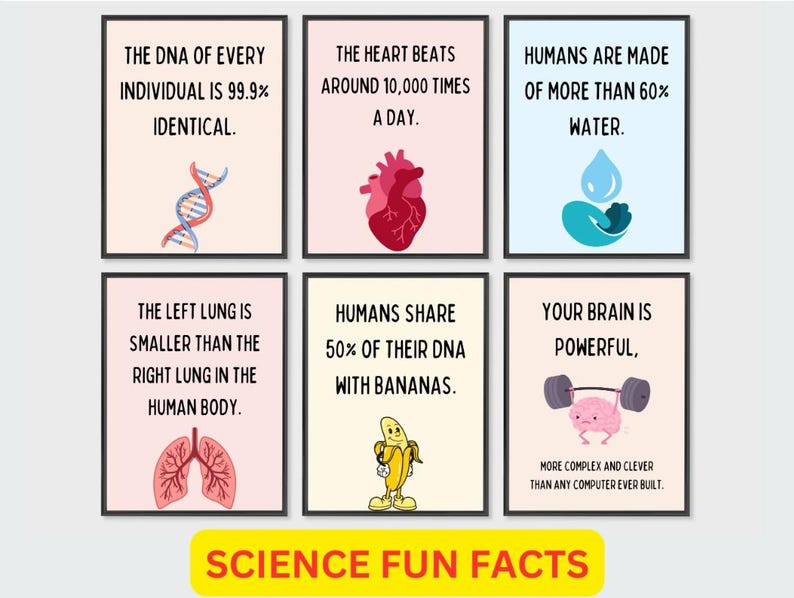 30 Science Posters Classroom Decor Bundle, Educational Posters, Biology ...