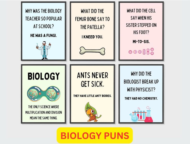 30 Science Posters, Classroom Decor Bundle, Educational Posters ...