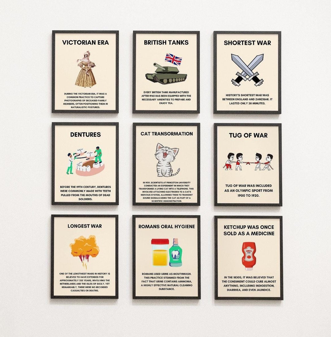 History Fun Facts Posters, Social Studies Classroom Decor Set (digital ...