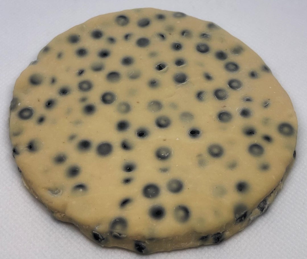 The Most Satisfying Pimple Popping Picky Pad - Etsy